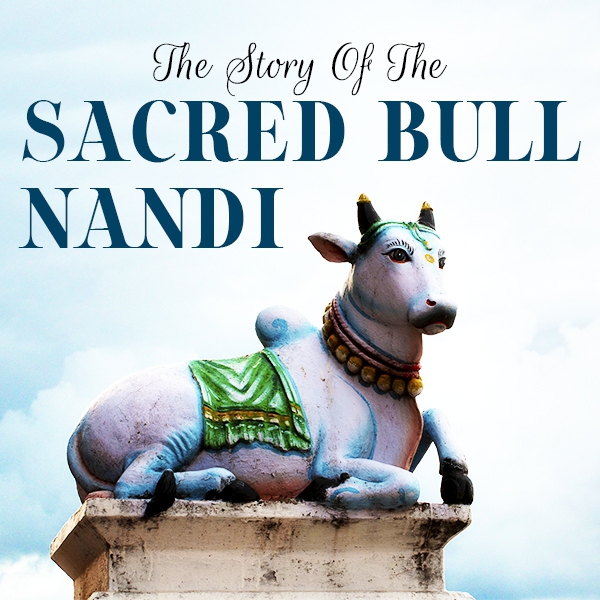 The Story of Nandi | AstroVed.com | AstroVed.com