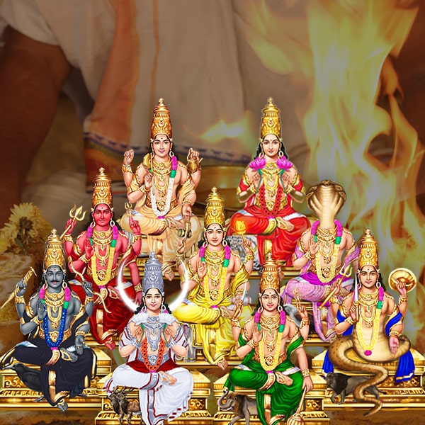 Navagraha Homam Procedure, Cost, & Benefits | Priestservices