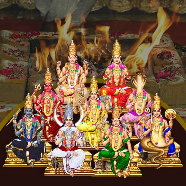 Navagraha Homam Procedure, Cost, & Benefits | Priestservices