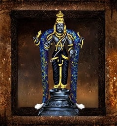 Navagraha Temples Holy Yatra Package - Priest Services