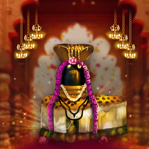 Pancha Bootha Shiva Temples Holy Yatra - Priest Services