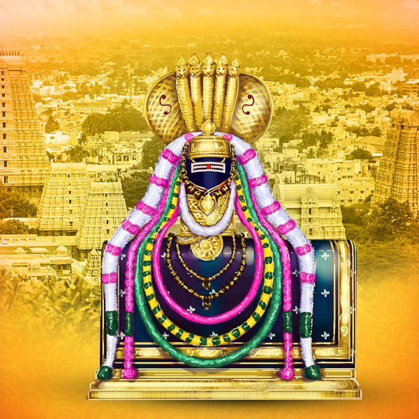 Pancha Bootha Shiva Temples Holy Yatra - Priest Services